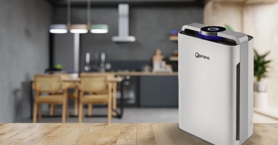 Очищувач повітря PRANA Air Cleaner Pro купити | найкраща ціна в Україні